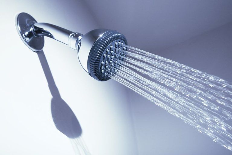 Shower leak check: our Bayside plumber shares the signs to look for!